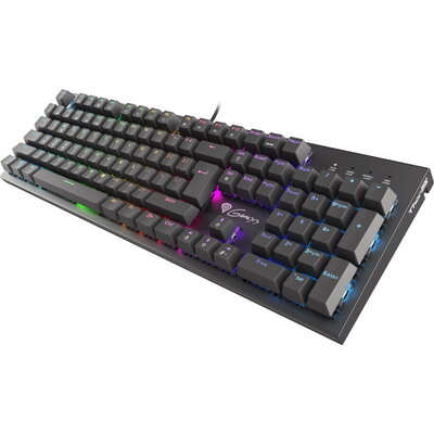 Клавиатура Genesis Mechanical Gaming Keyboard Thor 300 RGB US Layout ...